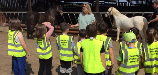 Discovery Primary Academy - Home