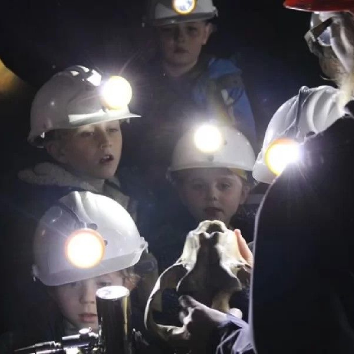Discovery Primary Academy - Creswell Crags